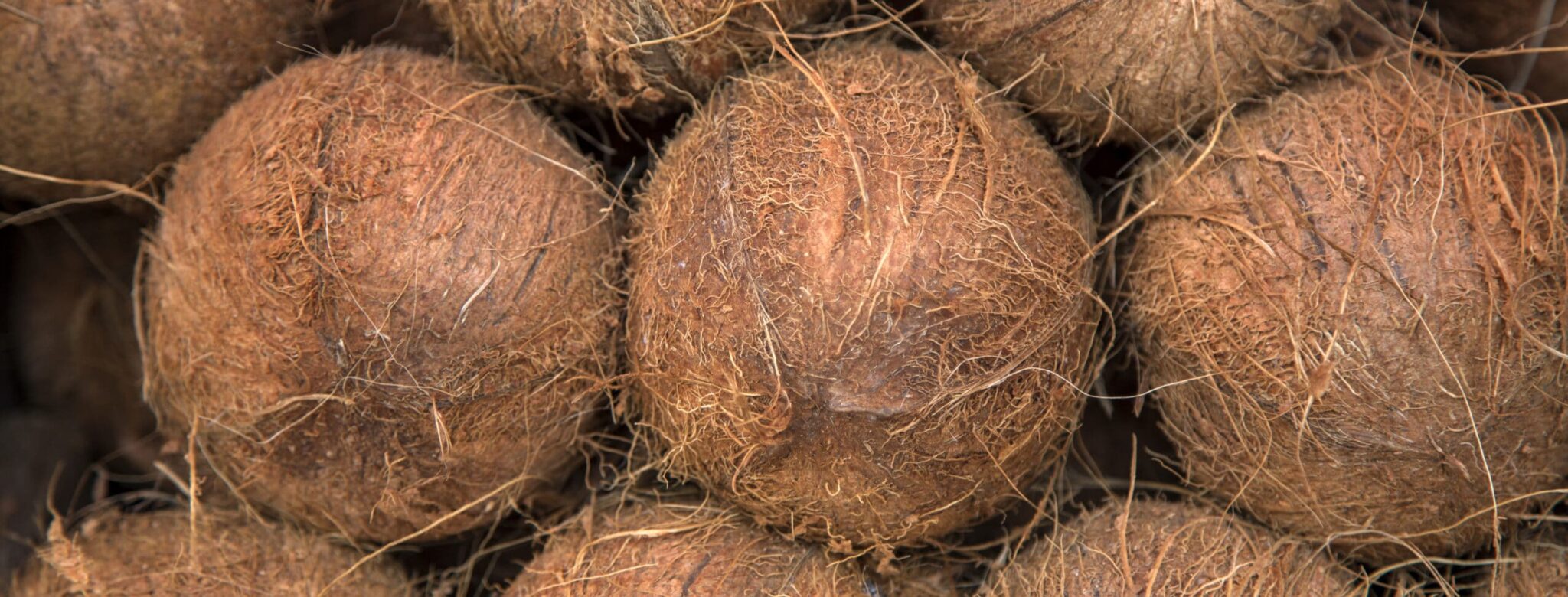 Leveraging Coconut Waste to Maximize Impact - The Charcoal Project